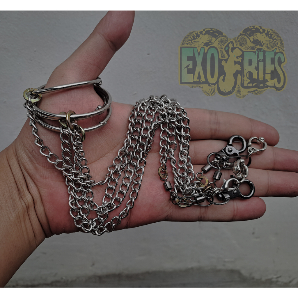 Jual Rantai Nuri Rantai Paltem Rantai Nuri Dusky Rantai Nuri Lorry ...