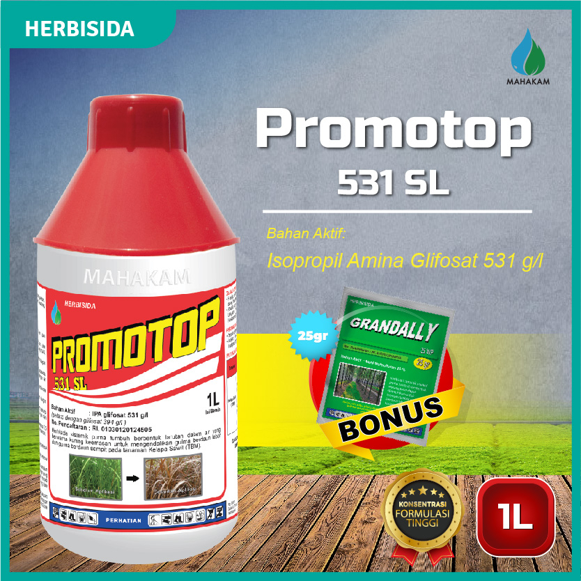 Jual Obat Rumput Alang-alang Rumput Lulangan Mati Sampe Akar PROMOTOP ...