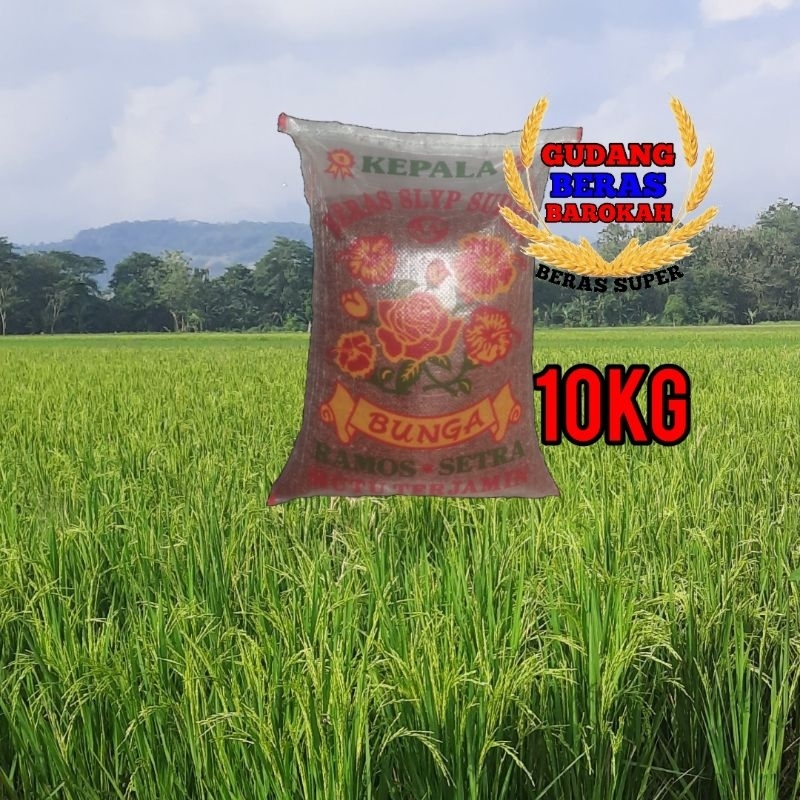 Jual BERAS MERAH CAP BUNGA 10KG | Shopee Indonesia