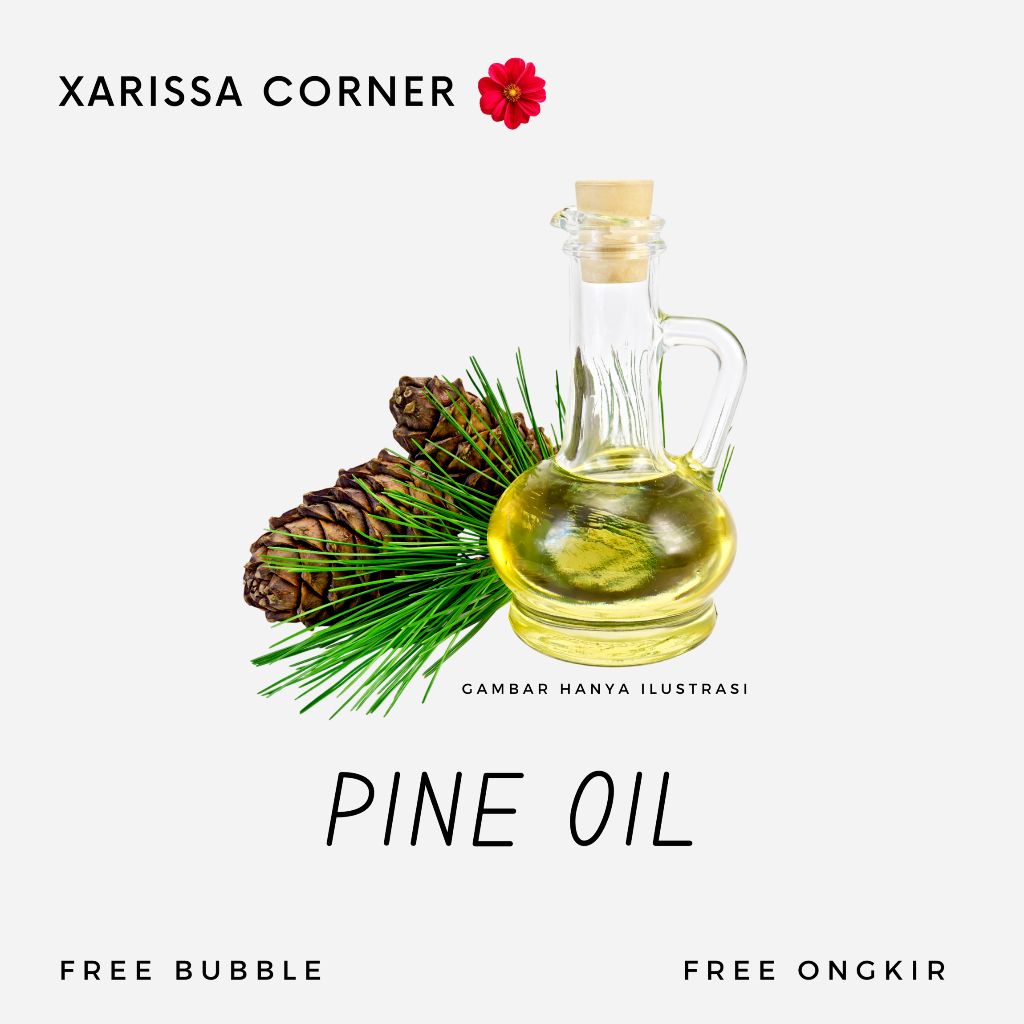 Jual Pure Pine Essential Oil Minyak Pinus 100 ML | Shopee Indonesia