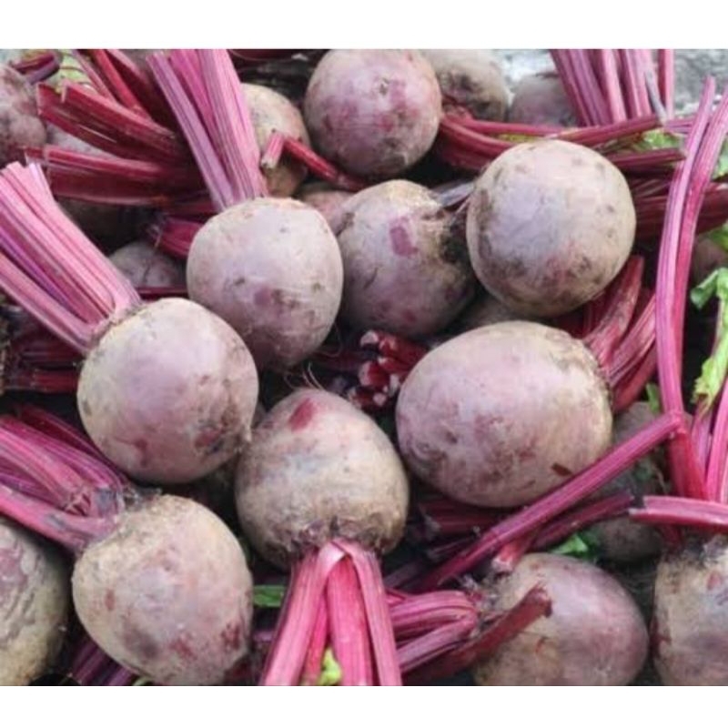 Jual buah bit 500grm | Shopee Indonesia