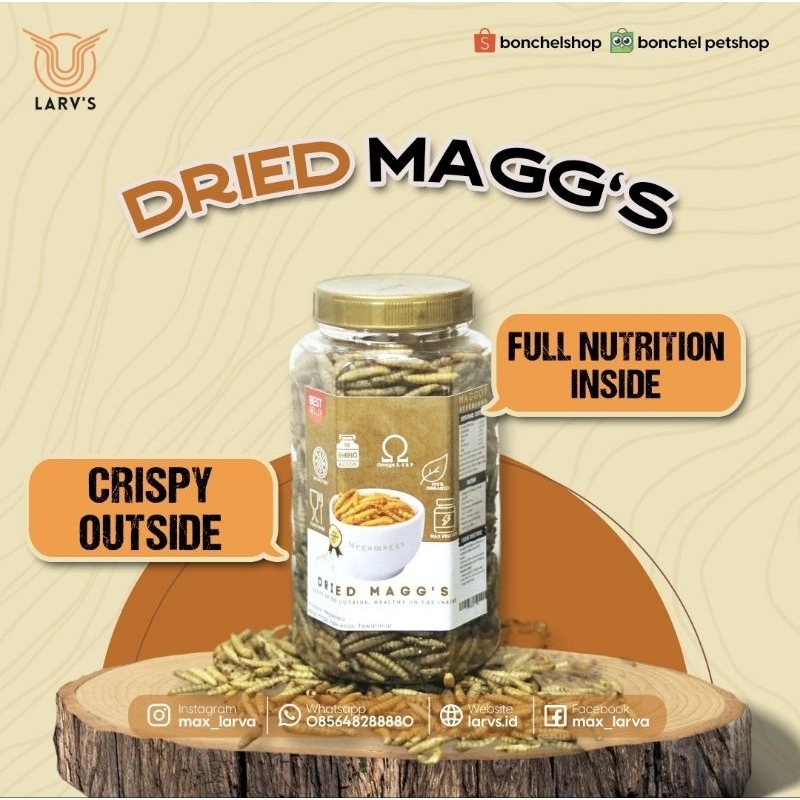 Jual Maggot Terlengkap & Harga Terbaru Mei 2026 | Shopee Indonesia