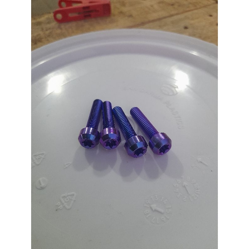 Jual baut titanium gr5 m6x25 drat 10 panjang 2,5cm original titanium ...