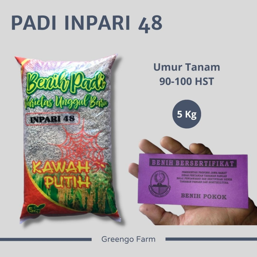 Jual Benih Padi Inpari 48 tahan blast Kemasan 5Kg Label Ungu | Shopee ...