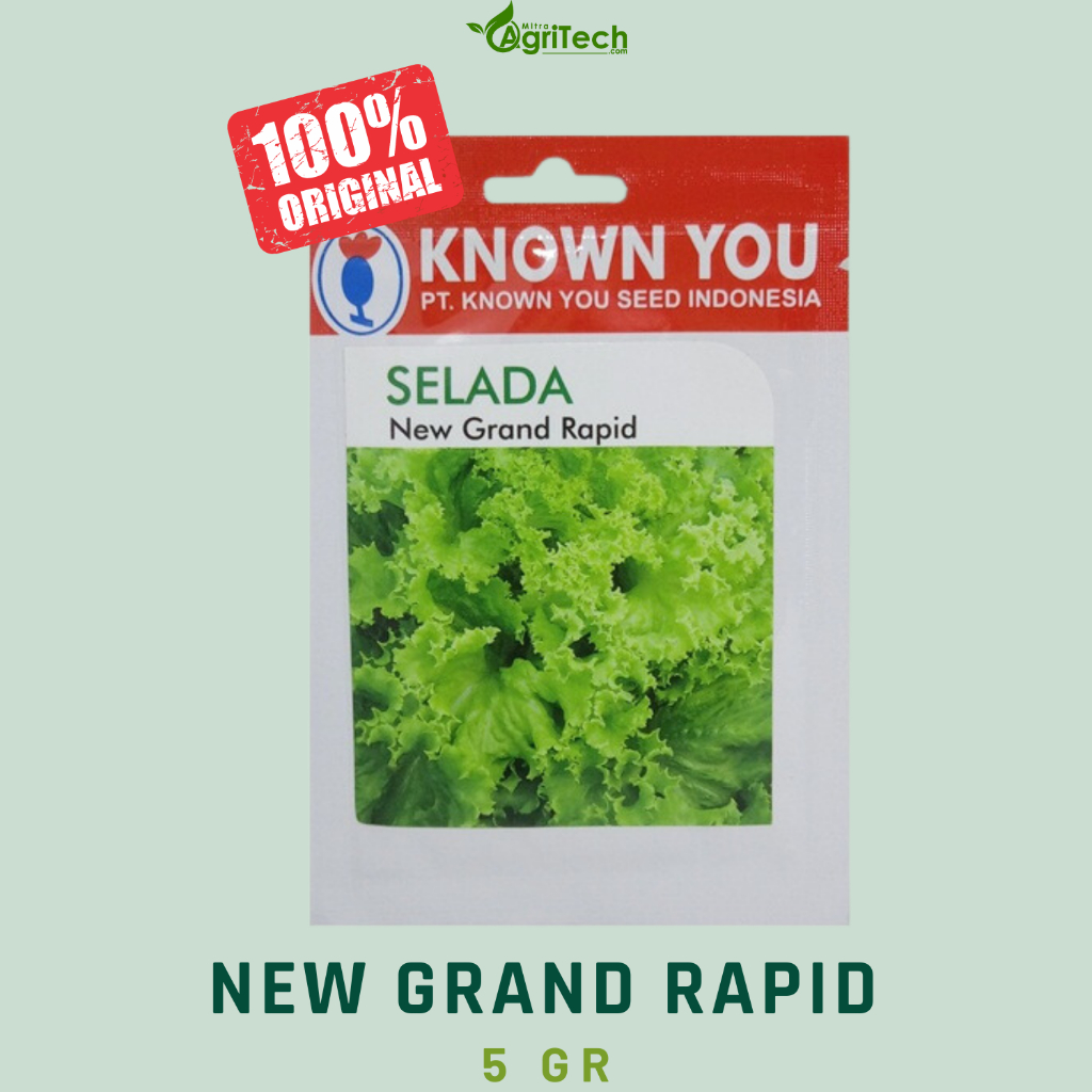 Jual BENIH BIBIT SELADA HIJAU NEW GRAND RAPID ISI 5 GRAM KNOWN YOU SEED | Shopee Indonesia