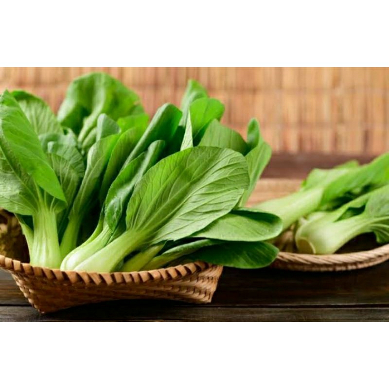 Jual sayur pakcoy segar 1kg | Shopee Indonesia