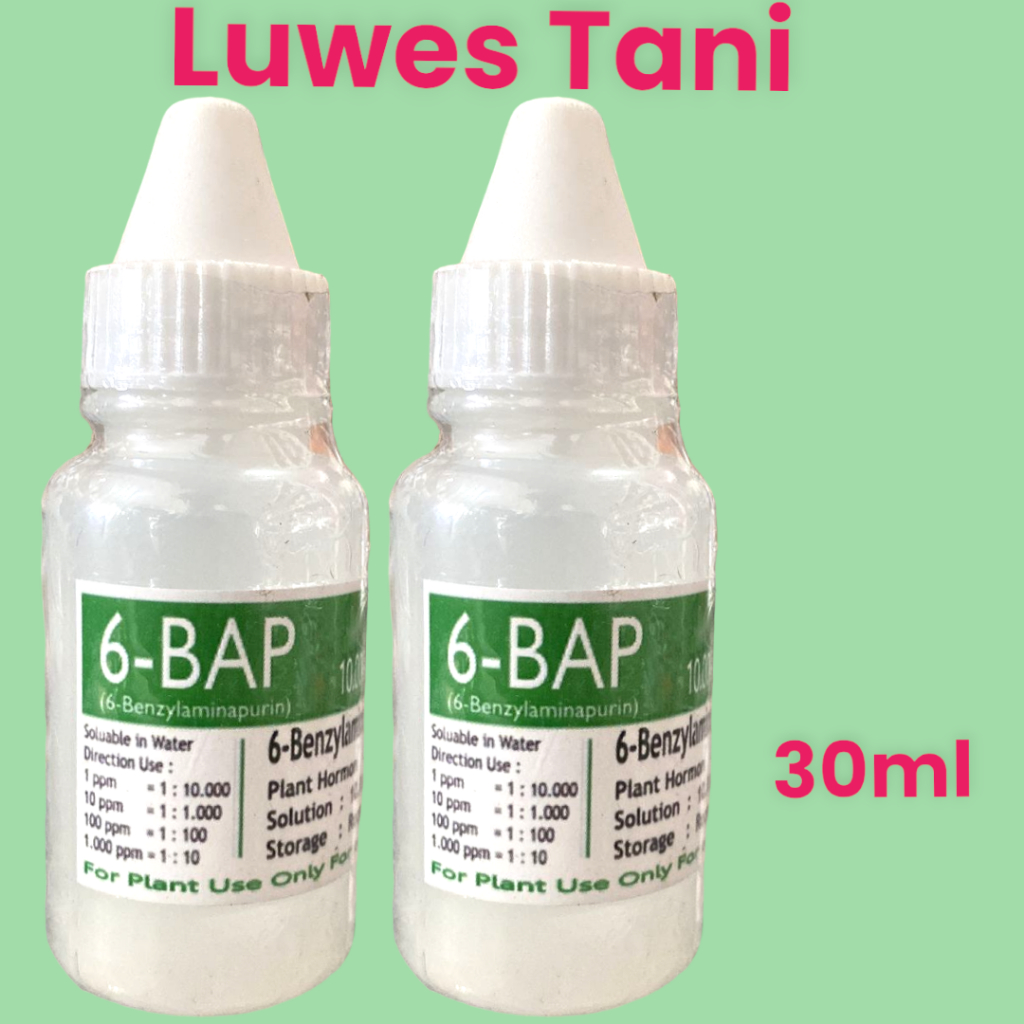 Jual Hormon BAP. 6-BAP Hijau BENZYL AMINO PURIN 10.000 ppm 30 ml HIJAU ...