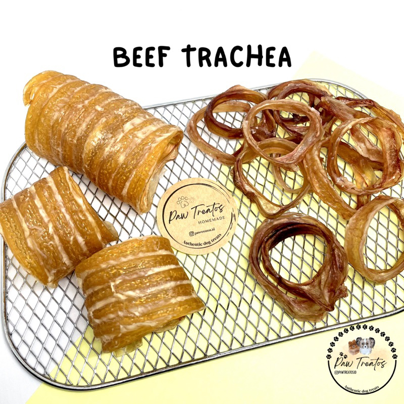 Jual Beef Trachea Jerky for Dog Snack Treats Kerongkongan sapi untuk ...