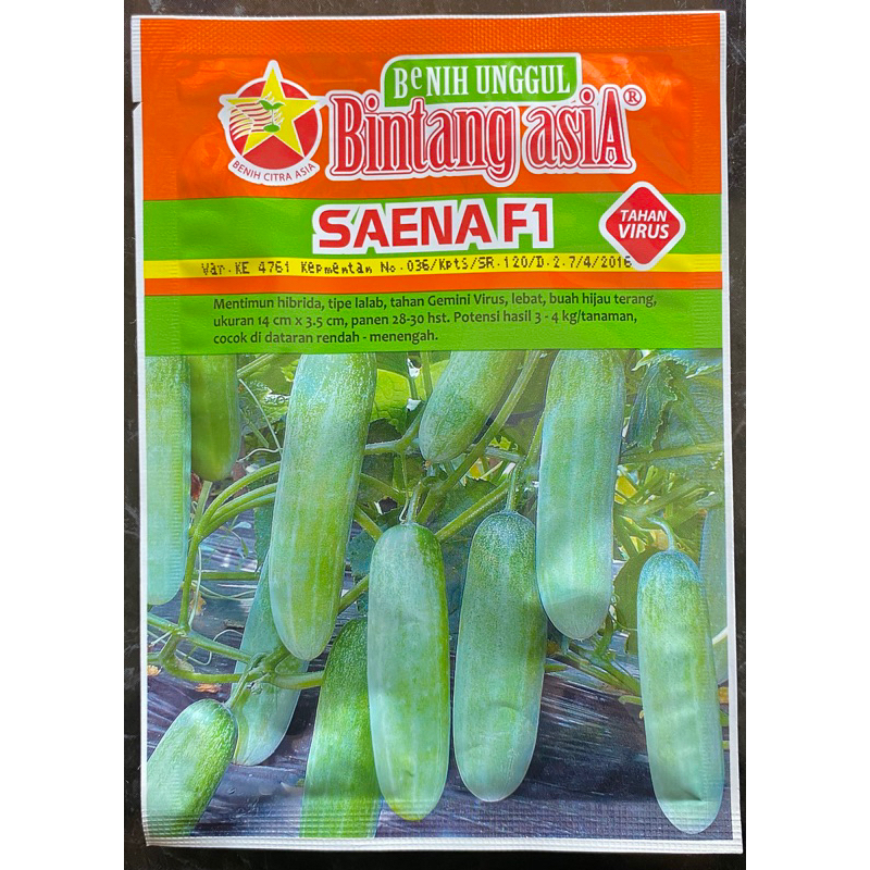 Jual Benih Timun SAENA F1 20gr Bintang Asia | Shopee Indonesia