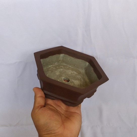 Jual Pot Bonsai Segi Enam D20CM Pot Semen Berkwalitas Pot Tanaman Pot ...