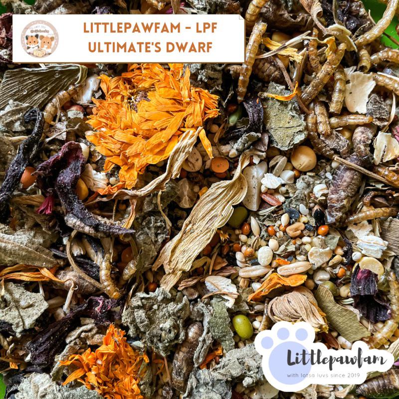 Jual MIJIU | LPF Ultimate's Dwarf Seedmix Hamster (usia 7-18 bulan ... Jual MIJIU | LPF Ultimate's Dwarf Seedmix Hamster (usia 7-18 bulan ...