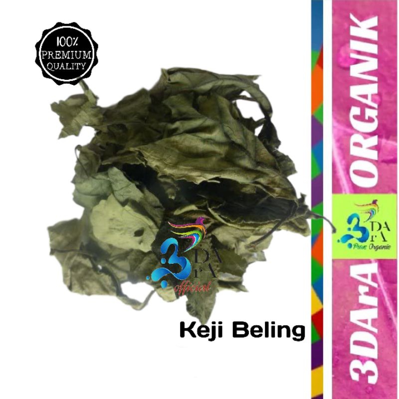 Jual Daun Keji Beling Kering 1kg Asli Tanpa Campuran | Shopee Indonesia