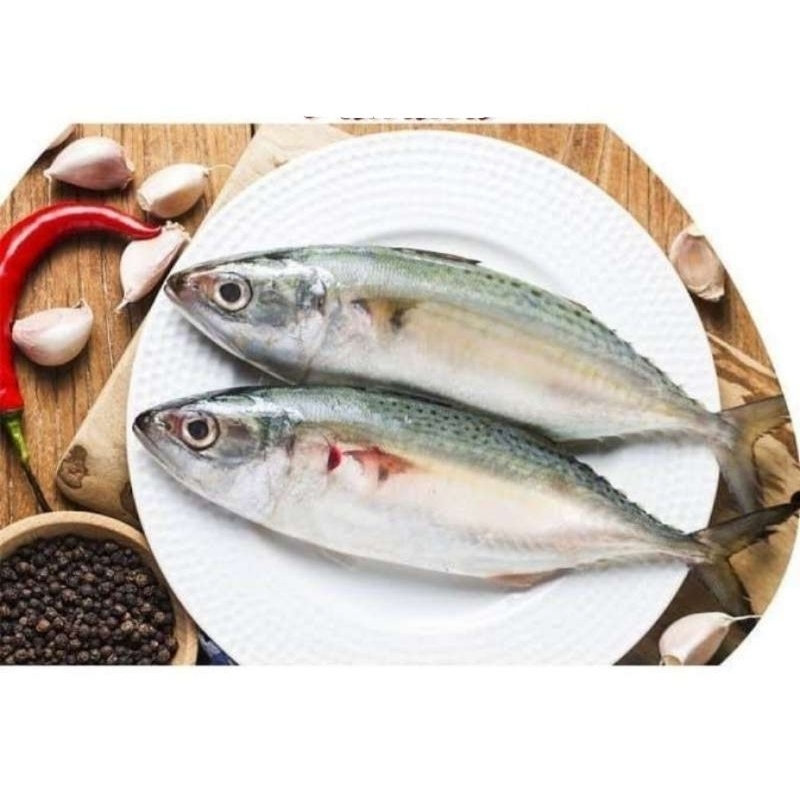 Jual Ikan Kembung / Ikan Banyar / Ikan Selar | Shopee Indonesia