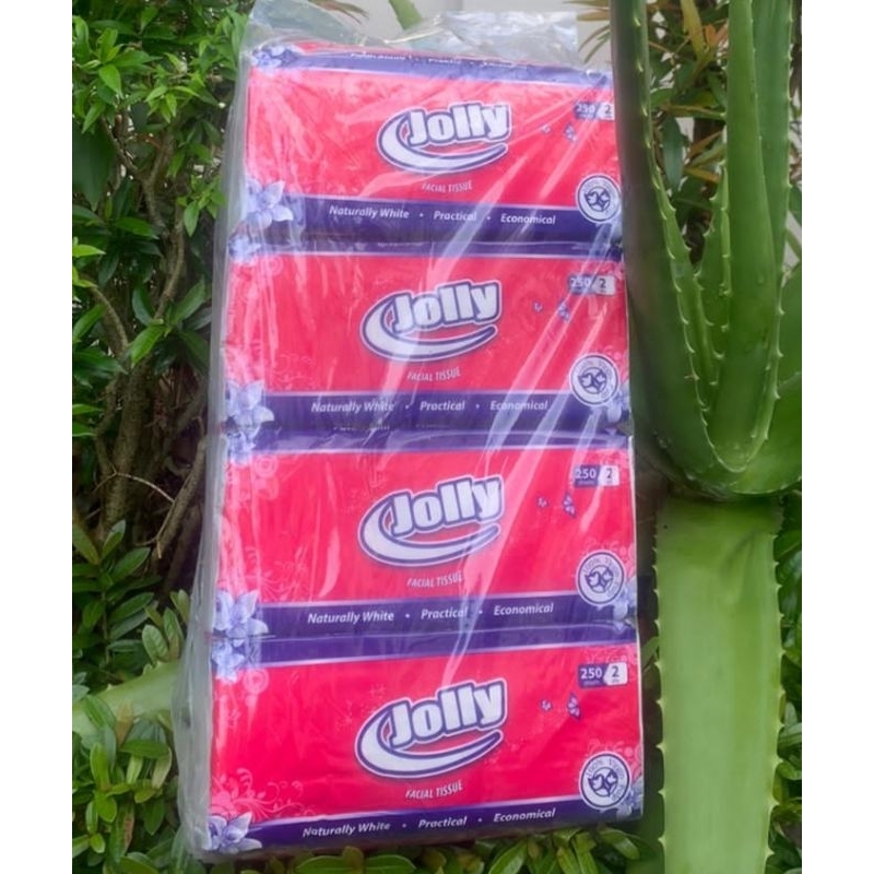 Jual TISSUE JOLLY 250 sheets | 2 ply [KEMASAN 4 PACK] | Shopee Indonesia