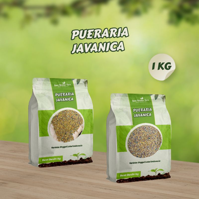 Jual Benih Pueraria Javanica 1kg | Shopee Indonesia