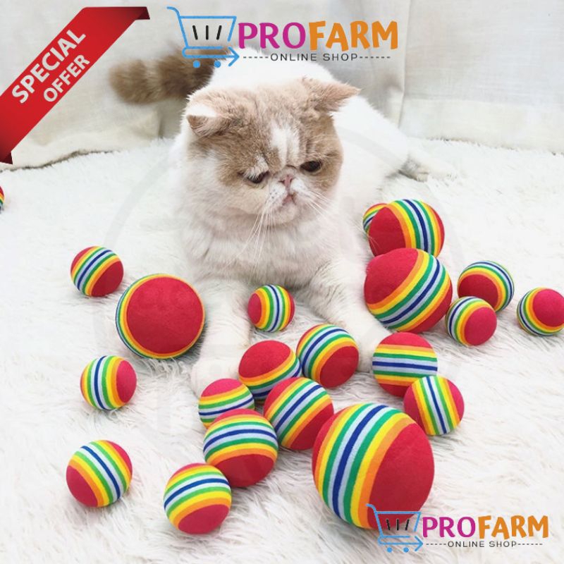 Jual Bola Kucing Pelangi Rainbow Mainan Kucing Interaktif Bola Toys Cat ...
