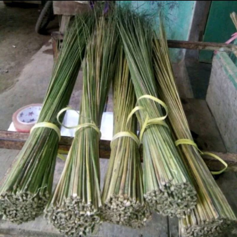 Jual sapu lidi asli dari daun kelapa sawit | Shopee Indonesia