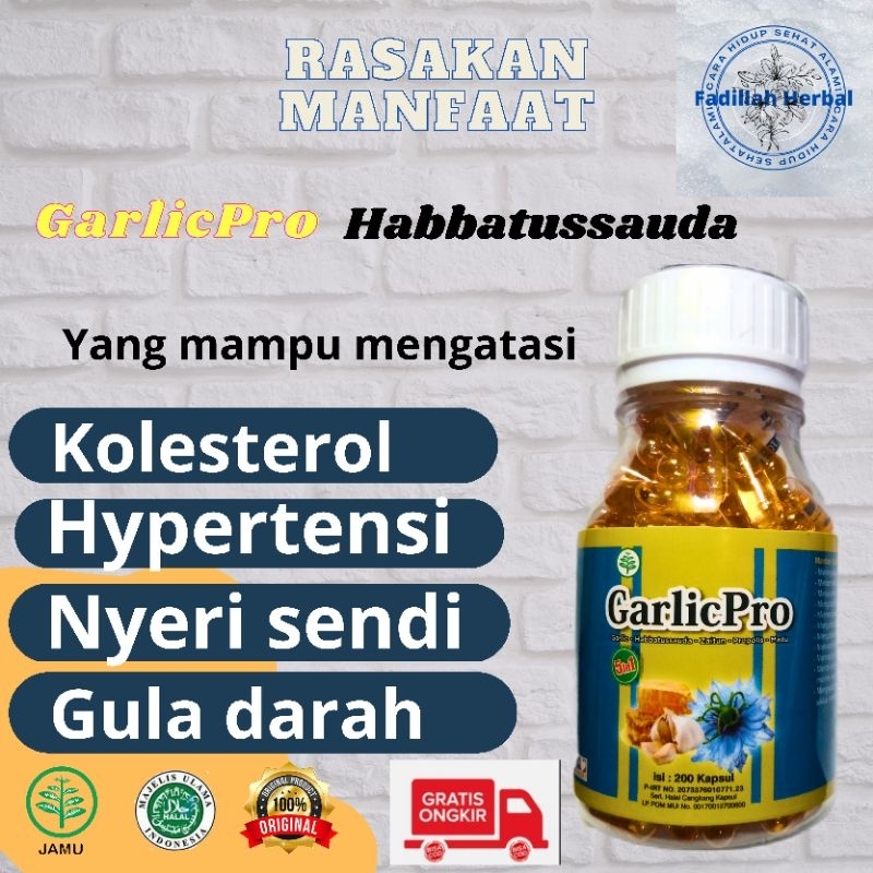Jual Garlic Pro 5 in 1 Ekstrak Bawang Putih Plus Propolis Zaitun Madu Habbatussauda 200 kapsul ...