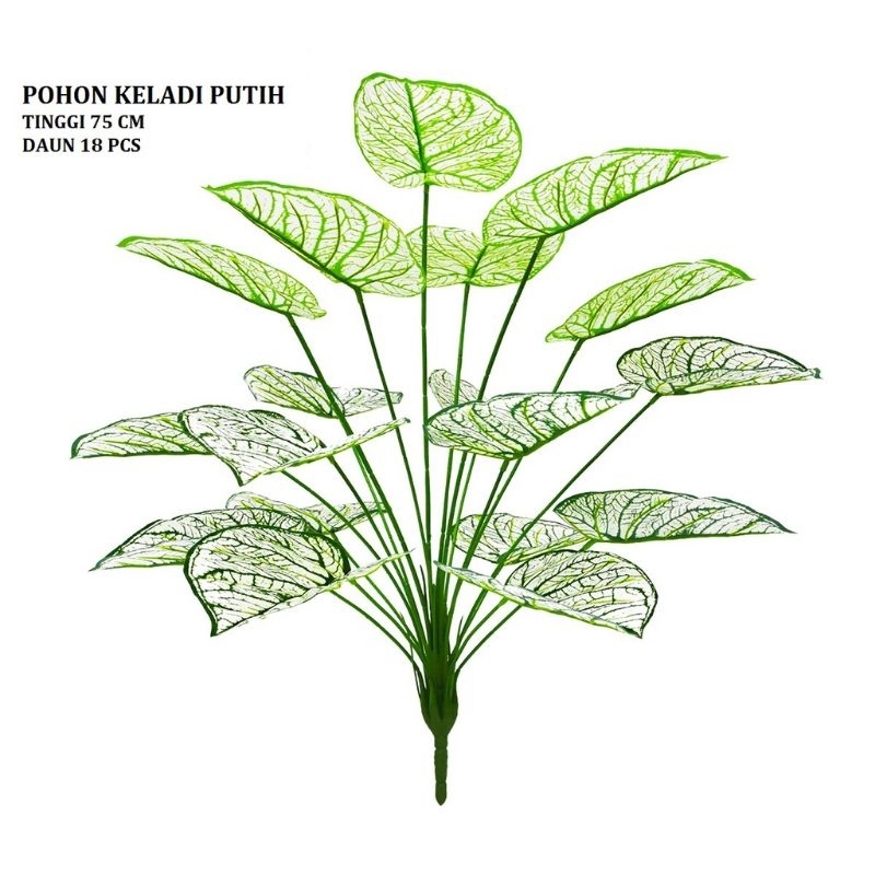 Jual Monstera Besar / Keladi Artificial ( POT DIJUAL TERPISAH ...