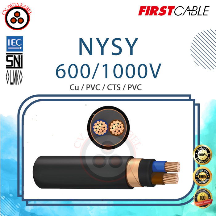 Jual Kabel NYSY 2x4 mm2 FIRST CABLE (Cu/PVC/CTS/PVC) 1kV | Shopee Indonesia