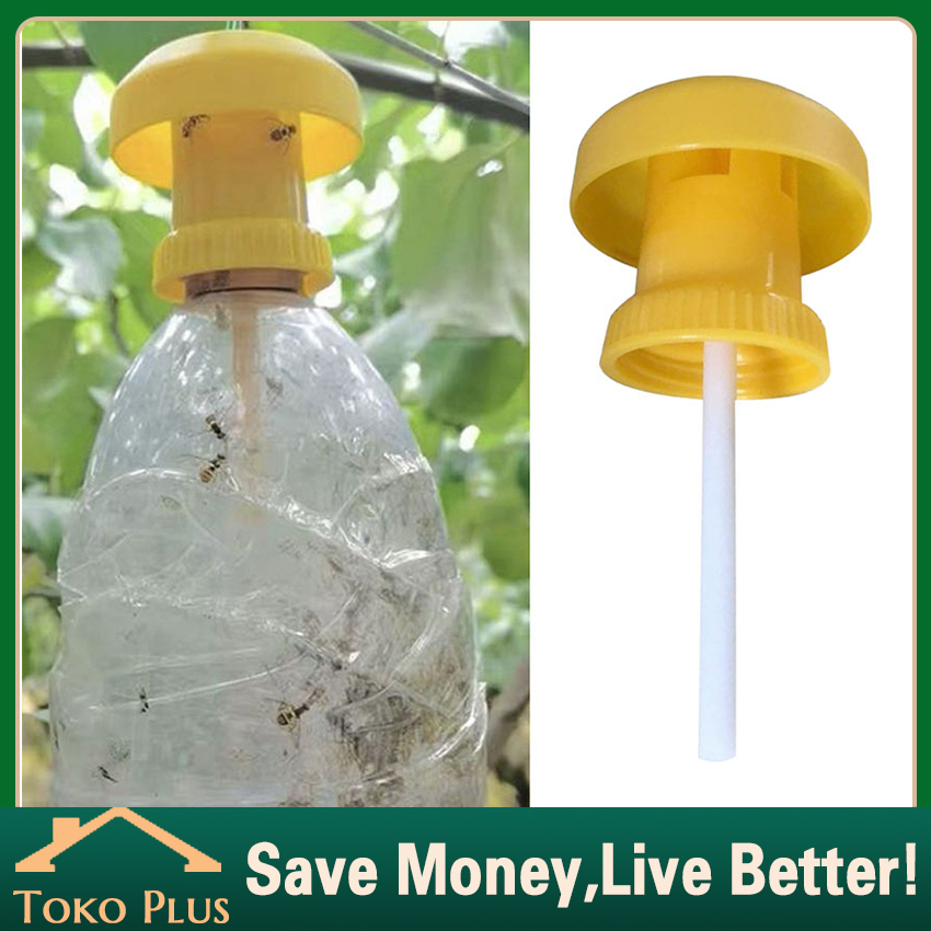 Jual Perangkap Lalat Buah Drosophila Bahan Plastik Warna Kuning Ukuran ...