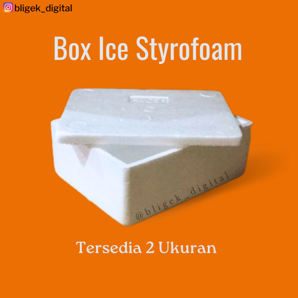 Jual Box Ice / Kotak Styrofoam | Shopee Indonesia