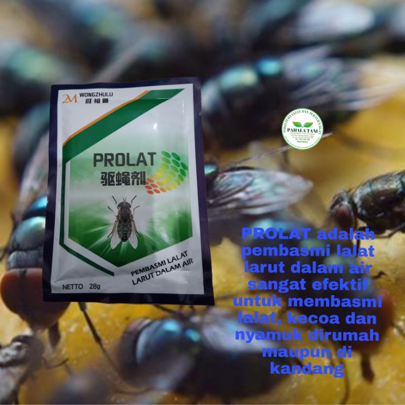 Jual PROLAT/pembasmi lalat/obat lalat/obat laler/obat kecoa/obat nyamuk ...