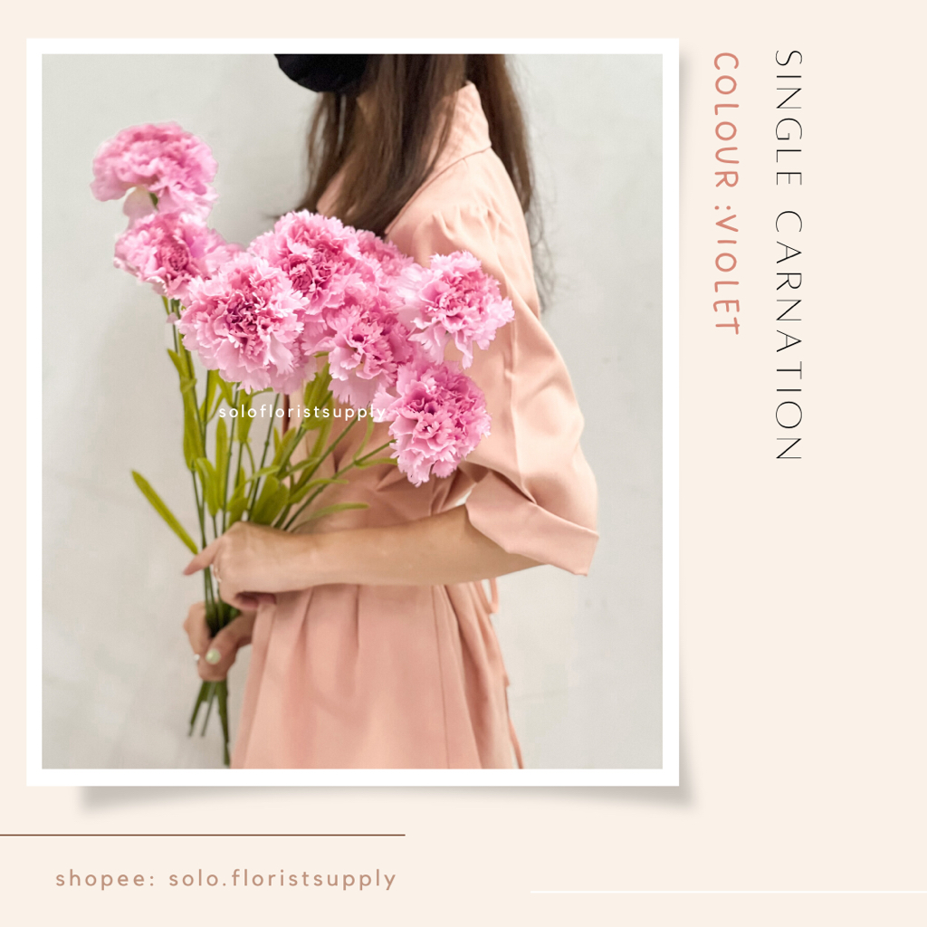Jual SINGLE CARNATION BOUQUET X6 ARTIFICIAL FLOWER BUNGA PALSU BUNGA ...