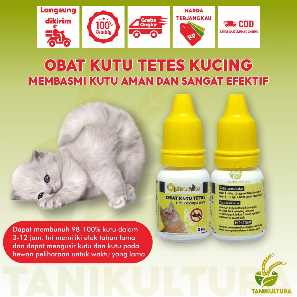 Jual Obat Tetes Kutu Kucing Ampuh Dan Telur Kutu Pembasmi Penghilang ...