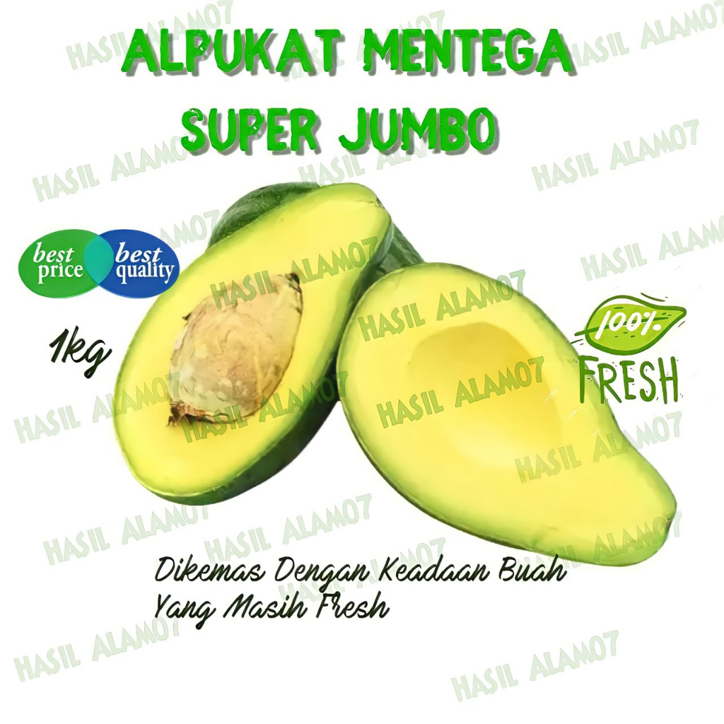 Jual Buah Alpukat Mentega Super Jumbo Fresh Fruits Segar 1 Kg | Shopee ...