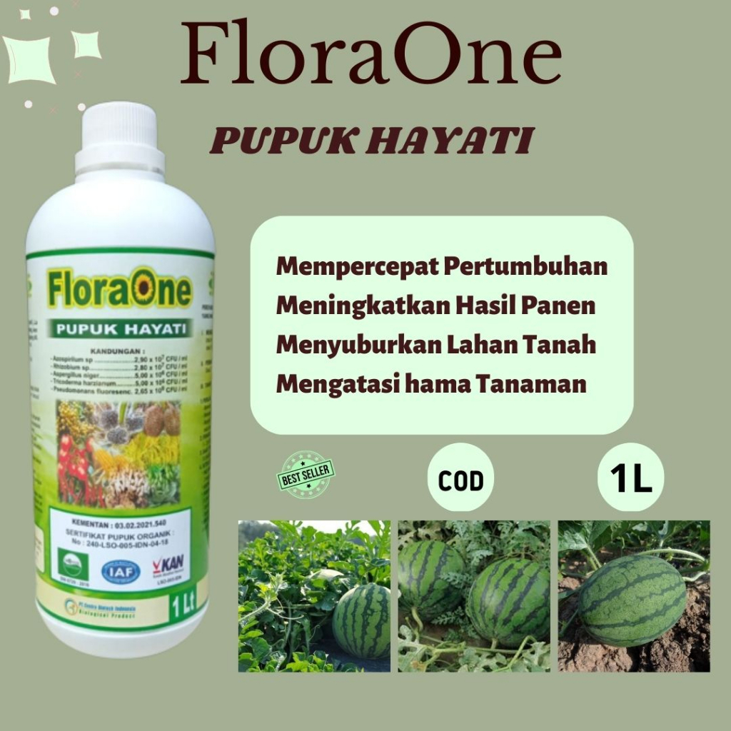 Jual Pupuk PGPR Perangsang Pertumbuhan Tanaman, pupuk Organik Hayati ...