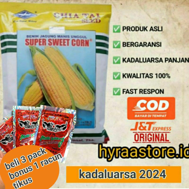 Jual Benih Jagung Manis Super Sweet Corn 250 gram | Shopee Indonesia
