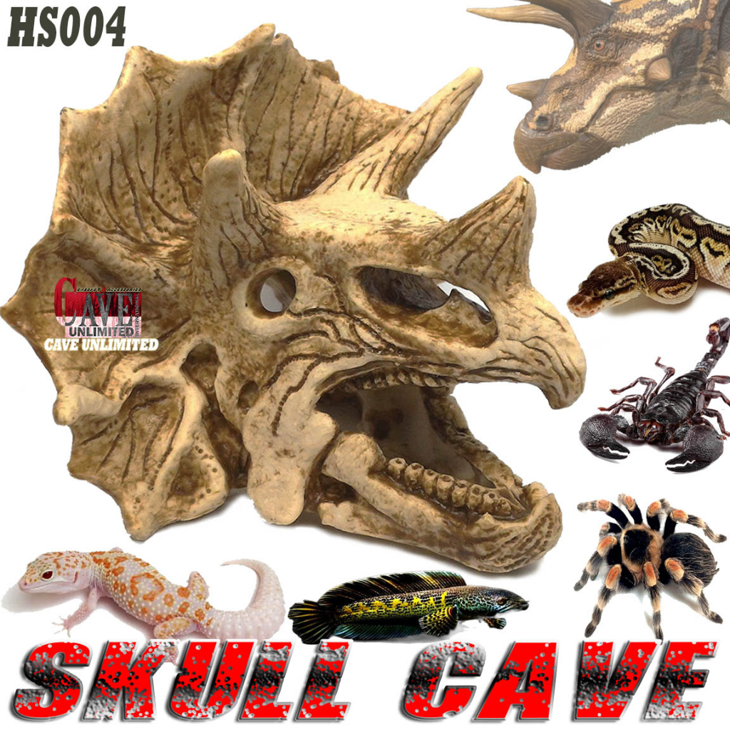 Jual HS004 HIDING SKULL TENGKORAK TRICERATOPS DINOSAURUS JURRASIC ...