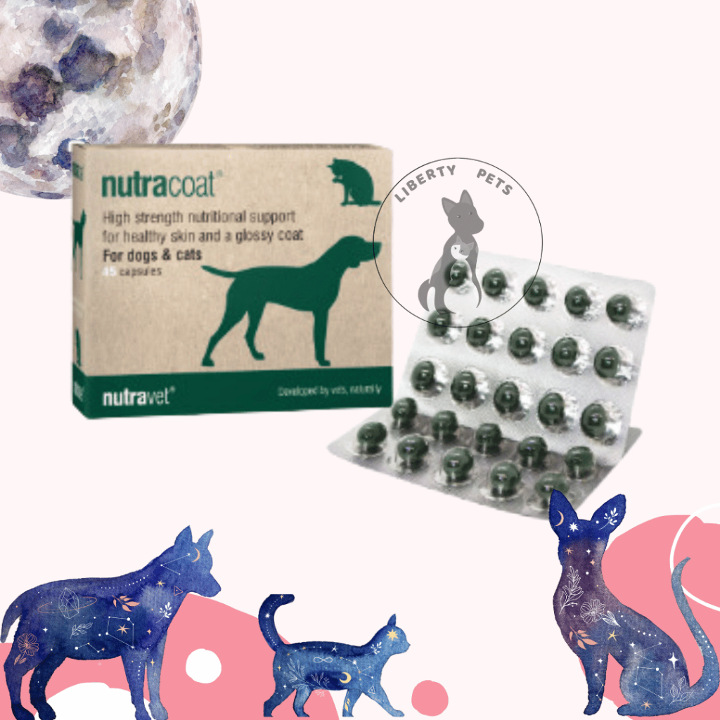 Jual Nutracoat Vitamin Suplemen Kulit & Bulu Kucing Anjing Pengganti ...