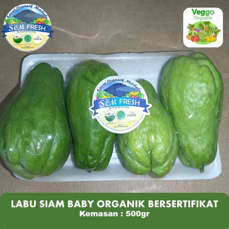 Jual Labu Siam Baby Organik | Shopee Indonesia