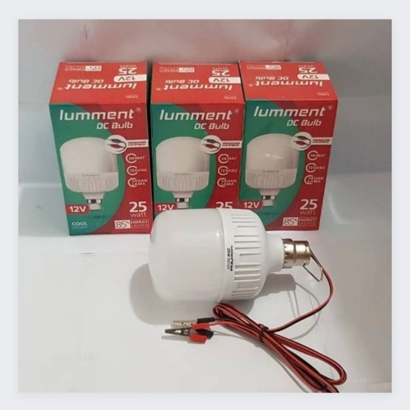 Jual LM Lampu DC 12 Volt LED 10W 15W 20W 25 Watt Bohlam Aki 12V Kapsul ...