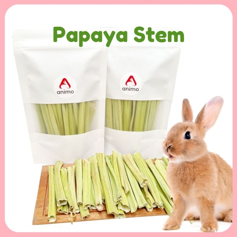 Jual Papaya Stem 30g rabbit chew stick hamster marmut chincilla guinea ...