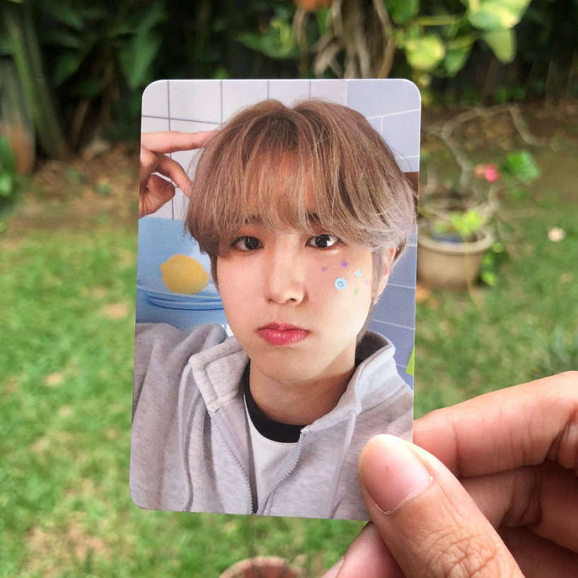 Jual HAN Nacific R19 Photocard PC OFFICIAL Stray Kids SKZ Straykids ...