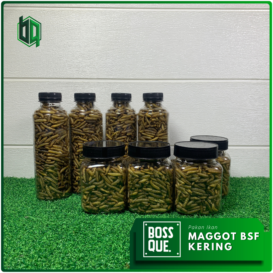 Jual Maggot BSF Kering Magot Dry Maggot Pakan Ikan Mengapung Kemasan ...