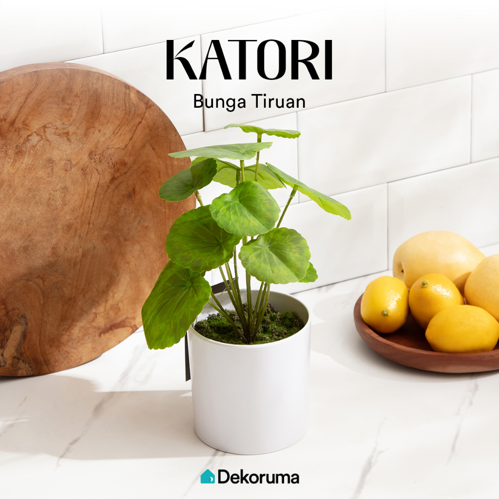 Jual Dekoruma KATORI Tanaman Tiruan Greenery Leaves dalam Pot Putih ...