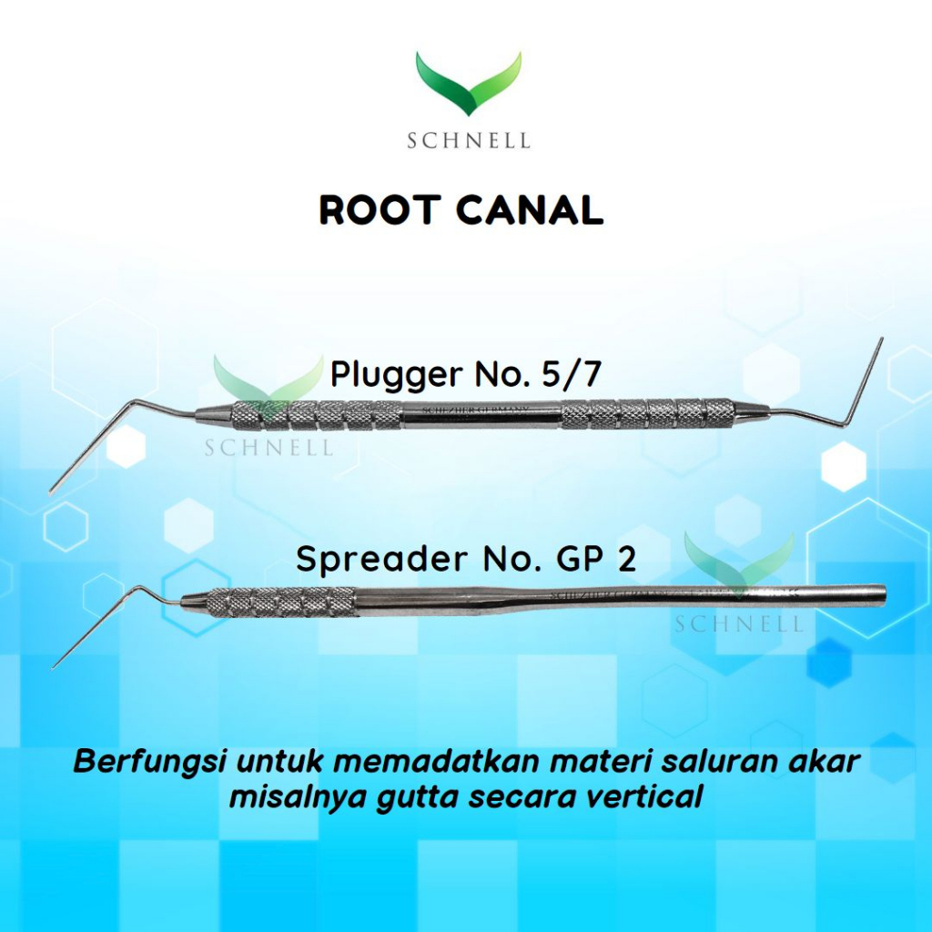 Jual Root Canal Spreader Plugger Dental Instrument - Schezer | Shopee ...