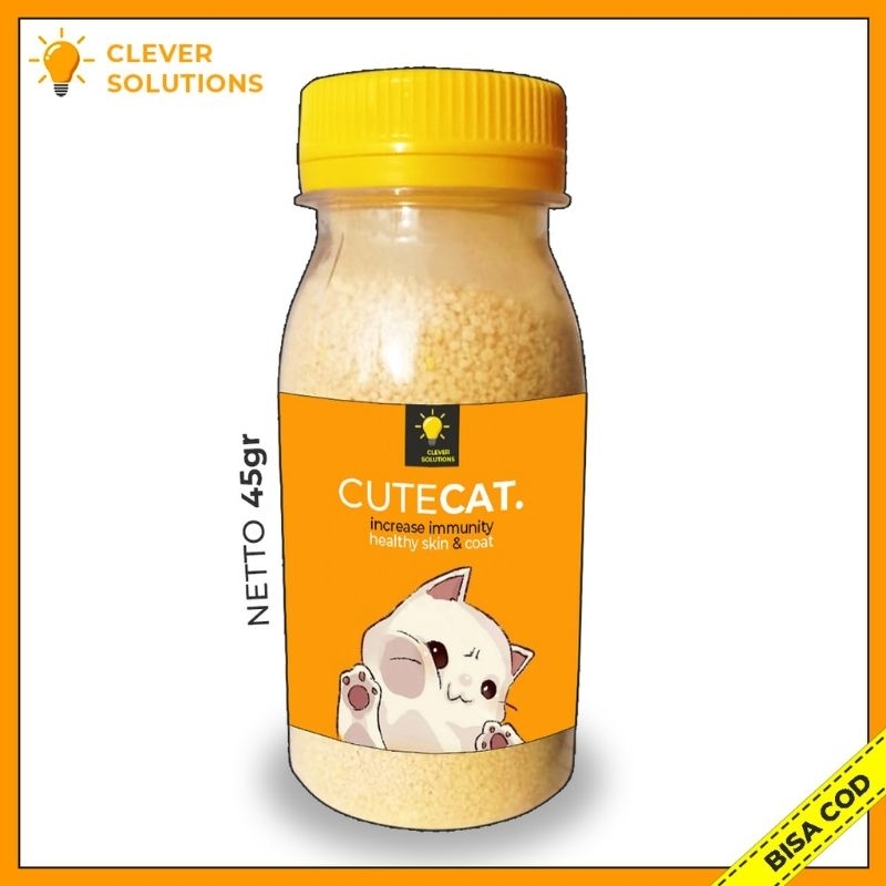 Jual cute cat | Shopee Indonesia