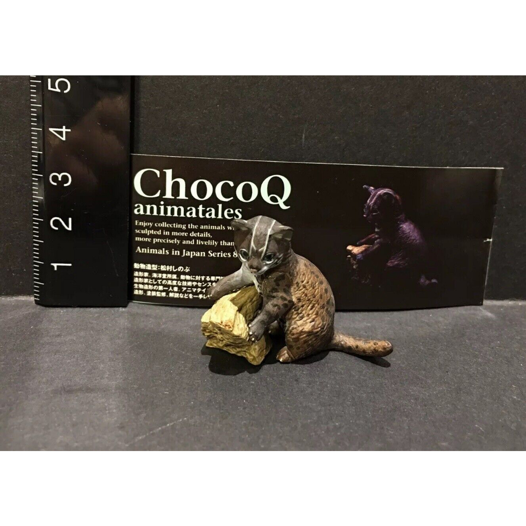 Jual Kaiyodo Animatales Choco Q Series 8 Baby Iriomote wildcat Cat Figure | Shopee Indonesia