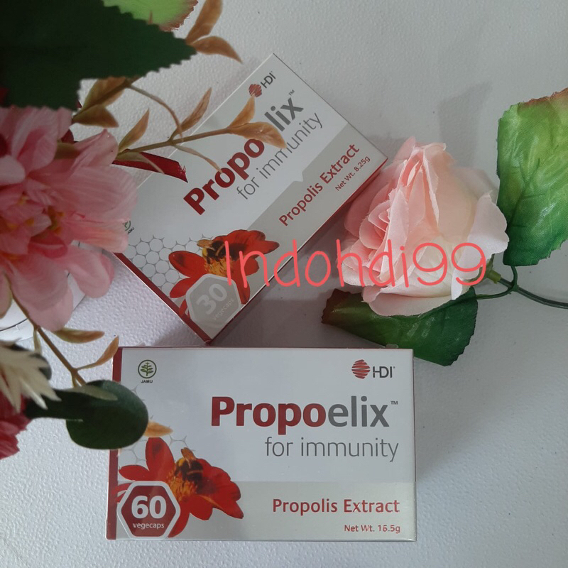 Jual HDI propoelix 60 kapsul | Shopee Indonesia