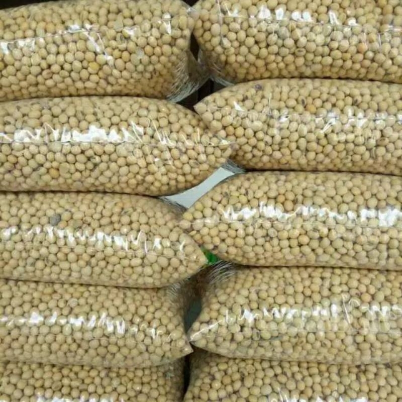 Jual 2kg Benih kedelai local | Shopee Indonesia