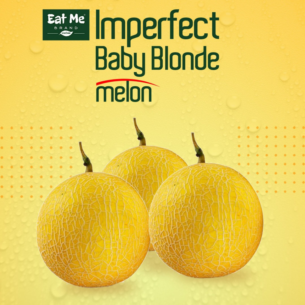 Jual Eat Me Brand - Impercfet Melon Baby Blonde Grade (100 Ribu 3 Buah ...