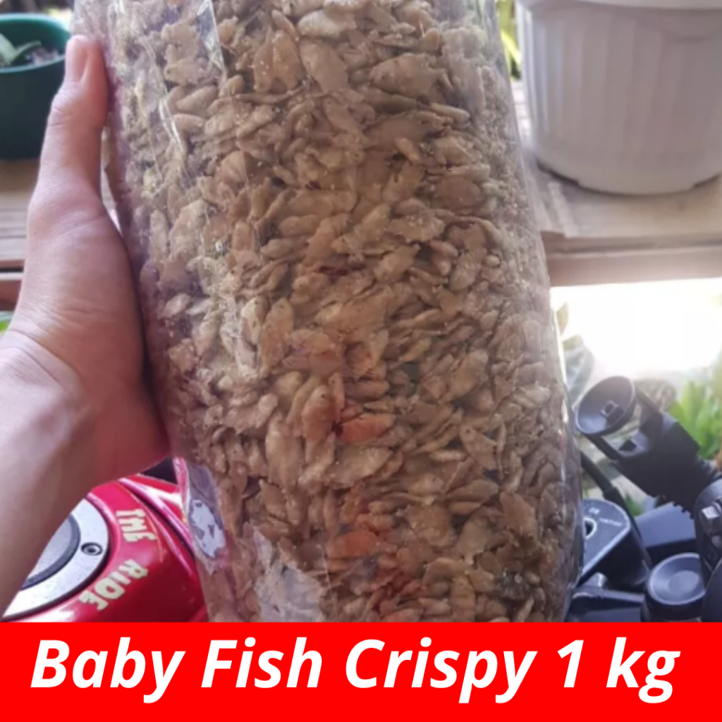 Jual Baby Fish Crispy Pedas / Baby Fish / Baby Fish goreng 1 KG ...
