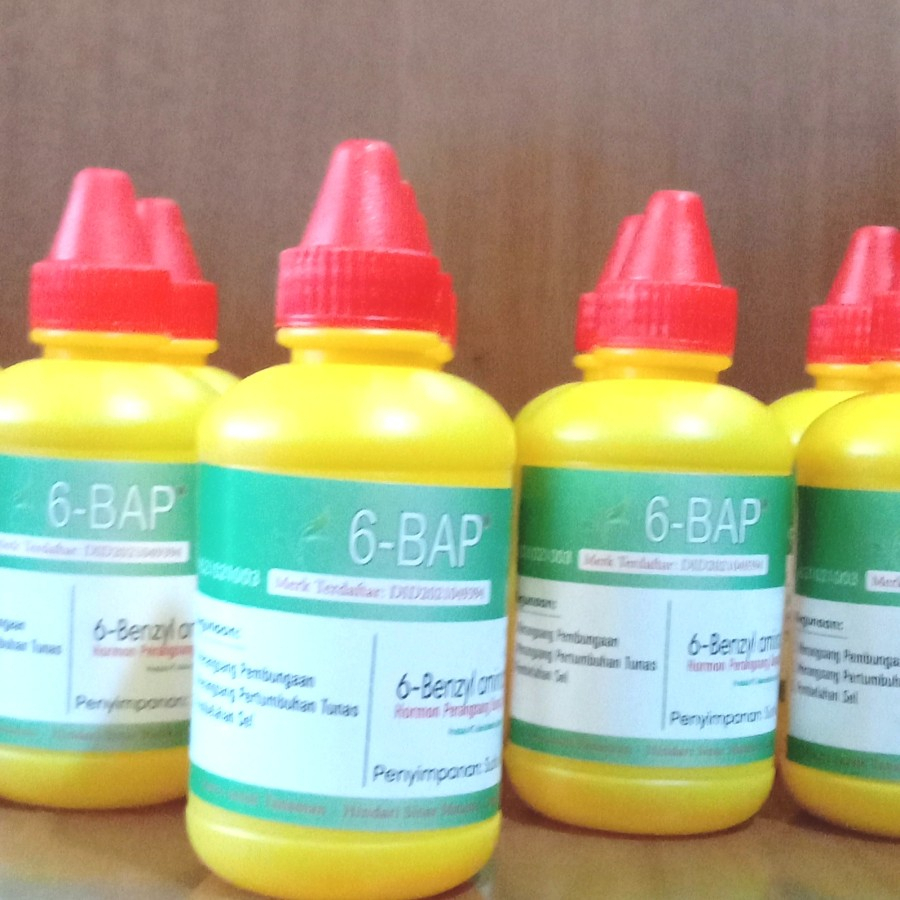 Jual 6 BAP 100Ml hormon Pembungaan Anggrek REIKA Orchid Nursery ...