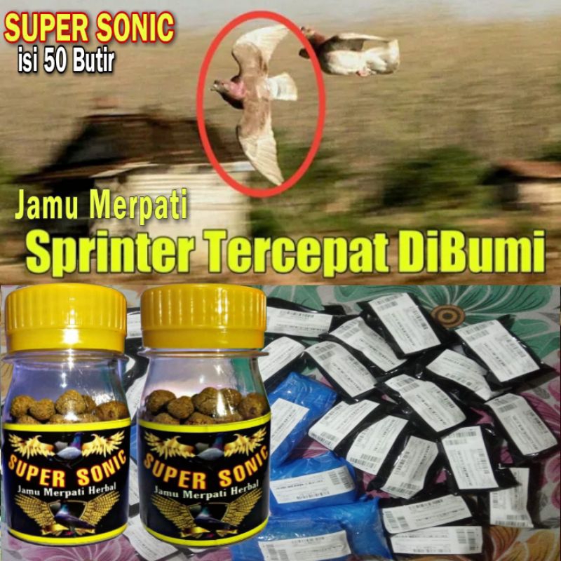 Jual JAMU MERPATI SUPER SONIC ISI 50 BUTIR extra power speed doping ...