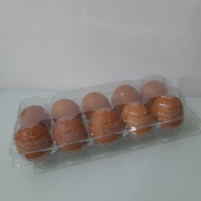 Jual Telur Ayam (10 pcs) | Shopee Indonesia